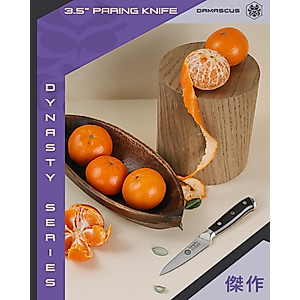 KESSAKU Paring Knife - 3.5 inch - Damascus Dynasty Series - Razor Sharp Kitchen Knife - Forged 67-Layer Japanese AUS-10V High Carbon Stainless Steel - G10 Garolite Handle with Blade Guard