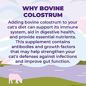 Zenapet Cat Colostrum Plus Superfood Supplement, 240 Day Supply Bovine Colostrum Powder, Cat Probiotic for Immune Support, Digestive Health, Allergy Relief, Joint Support, and Skin/Coat Health