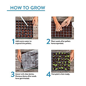 Burpee Self-Watering Seed Starter Tray, 72 Cells & SuperSeed Seed Starting Tray | 16 XL Cell | Reusable & Dishwasher Safe | for Starting Vegetable Seeds, Flower Seeds & Herb Seeds | Indoor Grow Kit