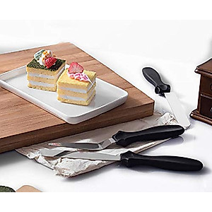 Naranqa Professional Offset Spatula Set with Plastic Handle - 3-Piece Stainless Steel Icing Spatula Variety Set & Cake Decorating Tools, Flexible Resistant Blades, 2 Angled and 1 Straight