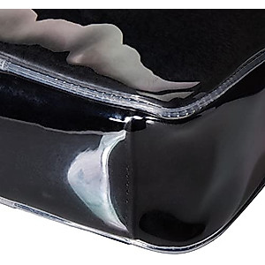 UGG Janey Ii Clear Crossbody Bag, Black, One Size US