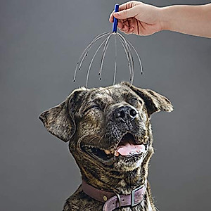 Yeipis 4 Pack Scalp Massagers, Handheld Head Massage Tingler, Scratcher for Deep Relaxation, Hair Stimulation and Stress Relief