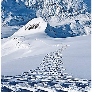 The Ultimate Ski Book: Legends, Resorts, Lifestyle & More