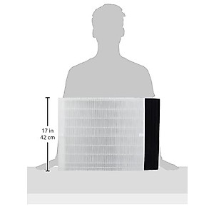 Genuine Winix 113250 Replacement Filter E for P450, White/Black