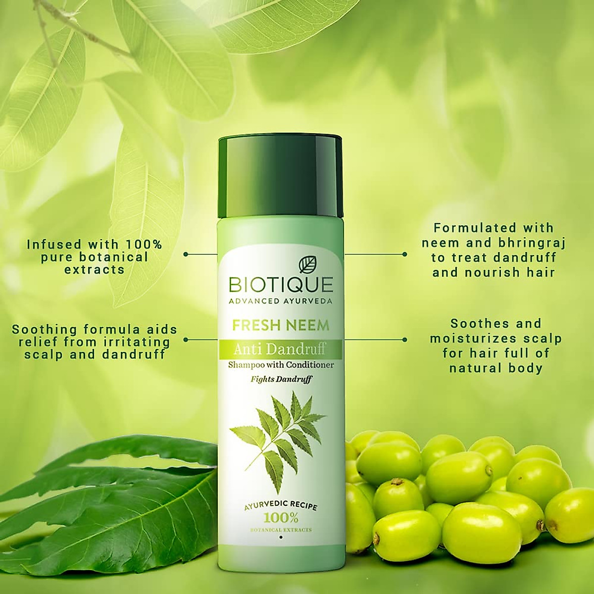 Biotique Margosa Anti-Dandruff Shampoo & Conditioner 190Ml/ 6.42 Fl.Oz I Leaves Hair Fresh, Lustrous And Full Of Natural Body
