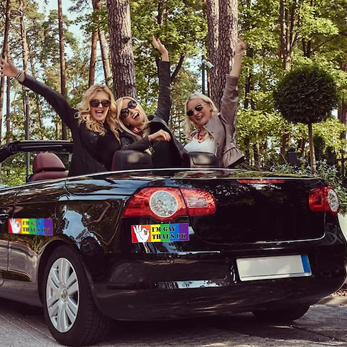 Hying 2PCS Gay Pride Bumper Stickers for Cars, LGBTQ Rainbow Magnetic Bumper Stickers for Adults Reusable Pride Month Decorations Magnetic Sign for Pride Parades Party Supplies Decorations Accessories