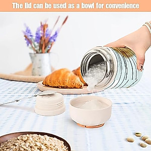 CUPADA Ginger Cat Lovely Food Jar, Broken Glass Design Insulated Hot Food Jars Vacuum 17OZ with Folding Spoon for Work Trip Picnic Camping