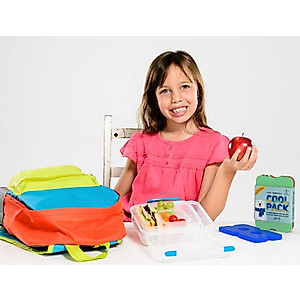 Healthy Packers Ice Pack for Lunch Box - Freezer Packs - Original Cool Pack | Slim & Long-Lasting Reusable Ice Packs for Lunch Bags and Cooler Bag (Set of 4)