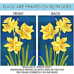 Toland Home Garden 1112545 Daffodils On Blue Spring Flag 12x18 Inch Double Sided Spring Garden Flag for Outdoor House Flower Flag Yard Decoration