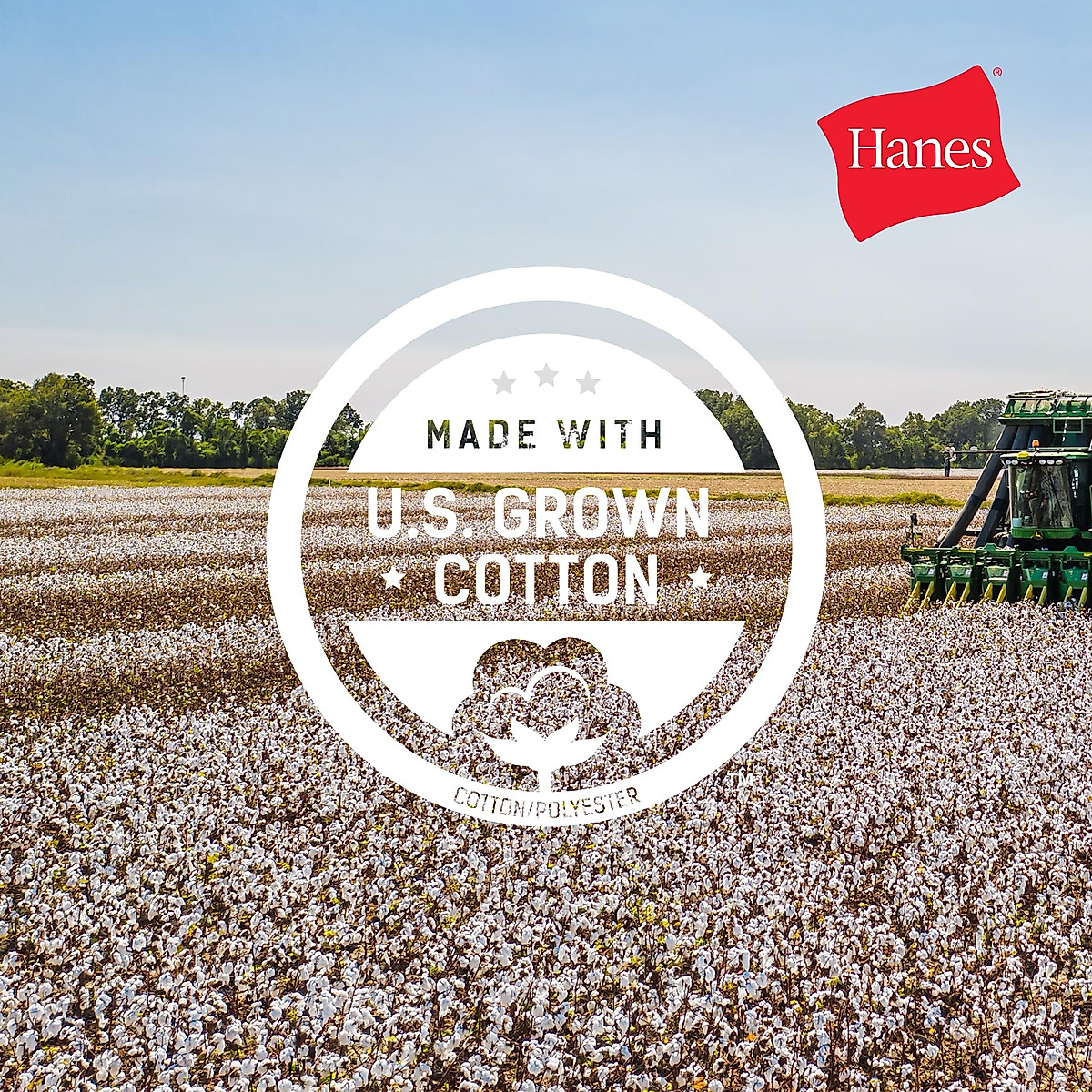 Hanes Mens Beefyt T-shirt, Heavyweight Cotton Crewneck Tee, 1 Or 2 Pack, Available In Tall Sizes Fashion-t-shirts, Deep Red - 1 Pack, X-Large US