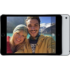 Apple iPad Mini 4 (16GB, Wi-Fi, Space Gray)