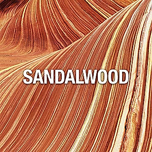 Giorgio Beverly Hills Red Perfume for Women, 3 fl. oz. EDT Spray