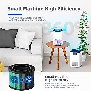 AROEVE MK01 & MK06 Air Filter Replacement 4-in-1 High-Efficiency H13 HEPA Air Filter for Smoke Pollen Dander Hair Smell(Two Standard Version & One Per Dander Version)