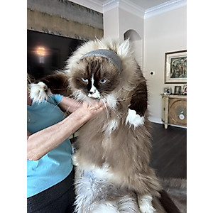 Pet Hoodz for Cats, Anxiety, Grooming, Ear Muffs, Cat Ear Protection, Calming, Ear Compression, Pet Hoodie, Cat Hoodie, Soft-Expandable Fabric for Cats, (Lavender, MED)