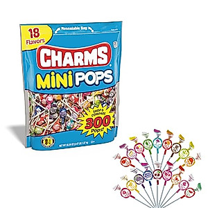 Tootsie Roll Charms Mini Pops, 18 Flavors, Individually Wrapped, Peanut Free, Gluten Free, 300 Count, 1-Pack