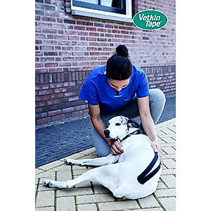 VETKIN VetkinTape® Veterinary Kinesiology Tape Blue | Kinesiology Tape for Horses & Dogs | Equine & Canine Kinesiotape | Latex Free and TÜV Quality Mark Certified Ktape | 4 inch | Pack of 1 Roll