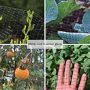 Dafoecheer Bird Netting - 7 x 65 FT Heavy Duty Garden Netting Deer Fence Net for Vegetables, Plant and Fruit Trees Against Birds, Deer and Other Animals