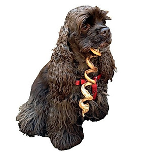 HDP Dental Floss Curly 4-6" Bully Sticks Made in USA Odor Free Size:Pack of 50