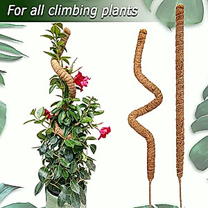 2 Pack 28 Inch Moss Pole, Bendable Moss Pole for Plants Monstera, Moss Poles for Climbing Plants Indoor, Handmade Coco Coir Plant Pole Sticks Support Stakes for Potted Plants