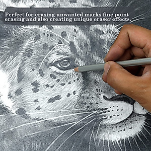 KALOUR Detail Eraser Pencil - 6pc Eraser Pencils with Brush and 2pc Sharpener,Erasing Small Details or add Highlights for Sketching, Charcoal Drawings. Fine Detail Eraser for Beginners & Artists