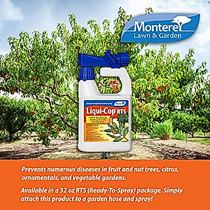 Monterey LG3190 Liqui-Cop Copper Garden Spray Fungicide for Disease Prevention, 32-Ounce RTS, 32 oz