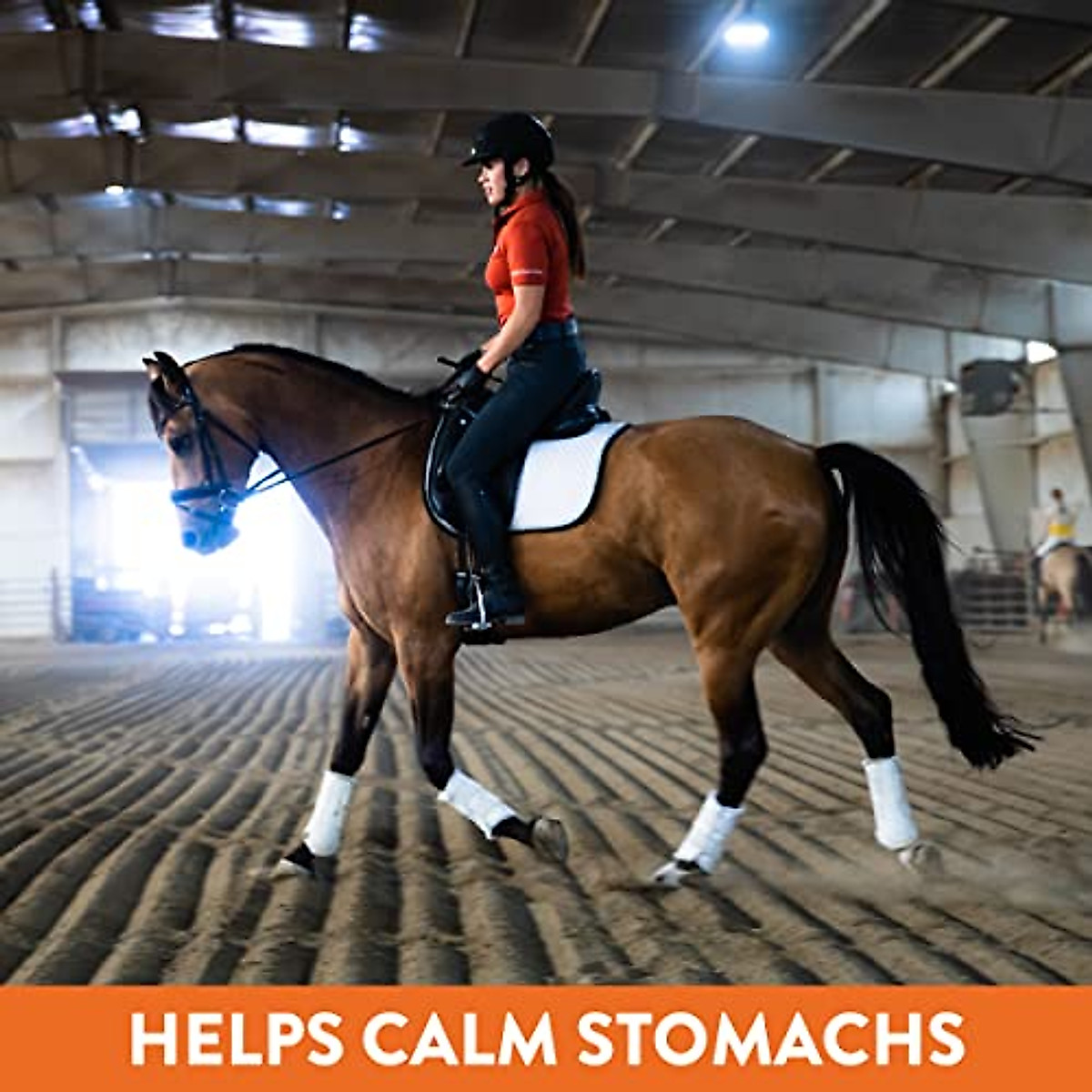 MagnaGard Plus- Gastric Support Supplement for Horses with Omega 3s | Relieves Ulcers, Calming Supplement, Magnesium & Other Vital Minerals | Powder, 20lb Bucket, 5-Month Supply | by Eagle Equine