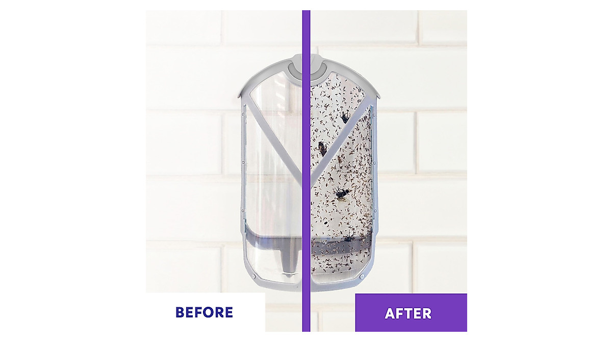 Zevo Flying Insect Trap - Ultimate Indoor Protection