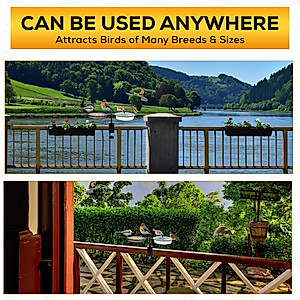 Bird Feeders for Outdoors - Forest & Twelfth Platform Bird Feeder Stand, Weather Proof Bird Water Feeder for Balcony Railing, 360° Rotation Standing Bird Feeder with Seed & Water Trays and Feed Scoop