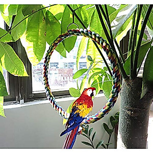 WishLotus Bird Swing, Cage Hanging Toys Cotton Rope Swing Bite Resistance Perches Toy Parrot Toy Boredom Breaker for Budgie, Cockatiels, Conures, Finches, Small Parakeets (25cm)
