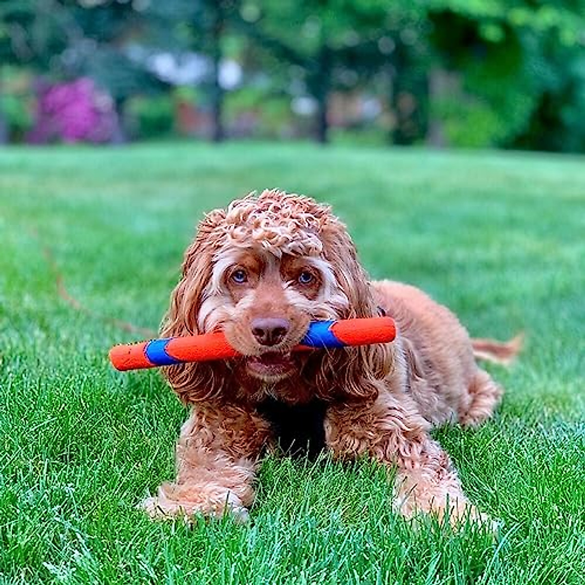 Chuckit Ultra Fetch Stick Outdoor Dog Toy, for All Breed Sizes