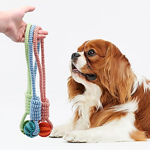 Generic Interactive Dog Rope Ball Toy (3 Colors). Interactive Dog Toy, Teeth Cleaning, Food Dispensing, Toy for Tug of War Playing, Durable Rubber Ball (Blue)
