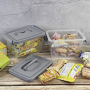 CadineUS 3 Liter Small Storage Boxes with Lids, Plastic Storage Bins Set of 6