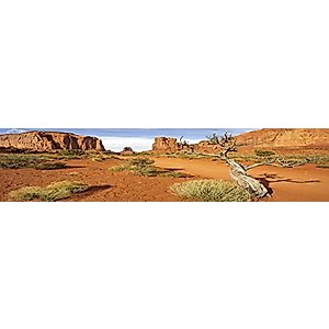 Reptile Habitat Background; Monument Valley with Tree, for 36Lx18Wx18H Terrarium, 3-Sided Wraparound