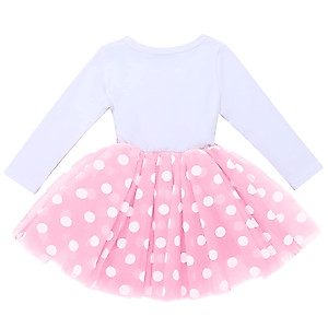 Winter Birthday Outfit Girl My Third Birthday Mini Dress Up Cake Smash Outfit Toddler Baby Tulle Tutu Skirt Long Sleeve Mouse 3rd Birthday Party Supply Three Years Old Photo Props Polka Dots Pink