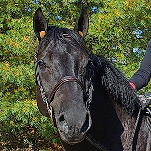 Y.J TAILS Horse Ear Plugs, Equine earplugs, Foam Ball, Block Noise, Soft and Comfortable, Reusable (Orange - 2pcs)