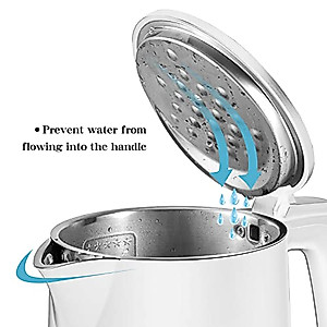 Dezin Electric Kettle, 0.8L Portable Travel Kettle with Double Wall Construction, Stainless Steel Electric Tea Kettle for Business Trip, Small Electric Kettle with Auto Shut-Off, White (Without Cup)