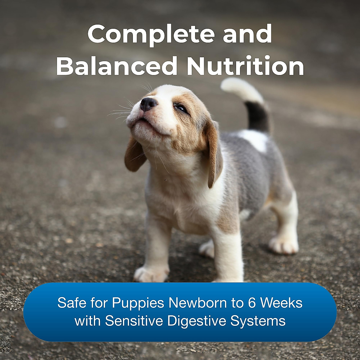 Pet-Ag Goat’s Milk Esbilac Liquid - 11 oz, Pack of 4 - Ready-to-Feed Puppy Formula with Vitamins, Minerals, and Trace Nutrients for Puppies Newborn to Six Weeks Old - for Sensitive Digestive Systems