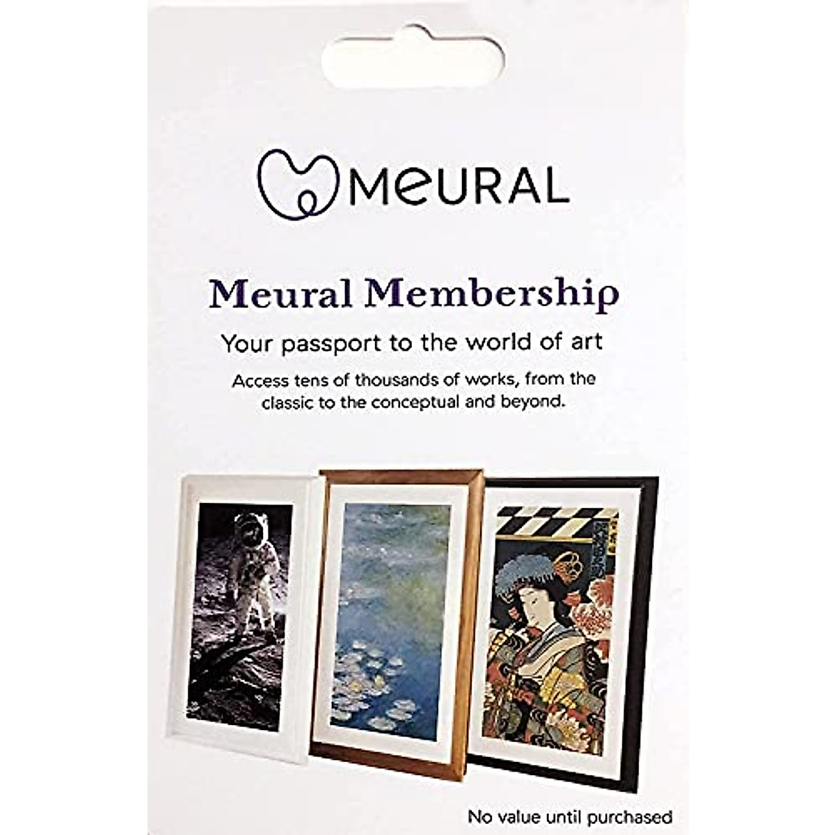 Netgear Meural Canvas II Bundle – 27" HD Digital Canvas (19X29) Black Frame with Swivel Mount & Annual Membership Card (MC327BLS)