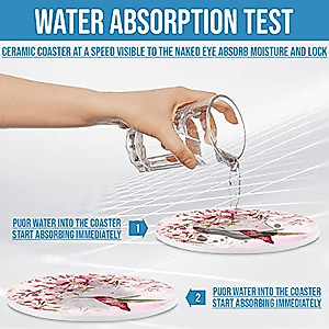 VAATOO Pack 6 Coasters Hummingbird Flower Absorbent Ceramic Coasters with Cork Base Drink Square Single Coaster Coffee Table Cup Car Kitchen Decor Birthday Gifts for Family Women Adults