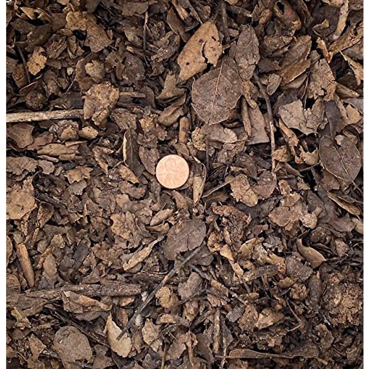 2.5 Quarts Natural Oak Leaf Mold for Acid Loving Plant, Cactus & Succulent, Bonsai Tree Soil Mix - Organic Additive