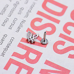 FLOGWE 2PCS 16G 316L Pushin Lip Rings Top Push in Threadless Nose Stud Rings Top Push in Threadless Surgical Steel Flat Back Nose Studs for Womens