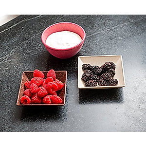 EVO Sustainable Goods 10 oz. Bowl Set, Blue