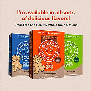 Buddy Biscuits Oven-Baked, Healthy Whole-Grain, Crunchy Treats for Dogs, 3.5lb