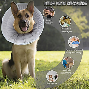Florez Soft & Foldable Recovery Cone for Pets: Cats & Dogs EasyClean Design Small & Medium (Medium), Grey