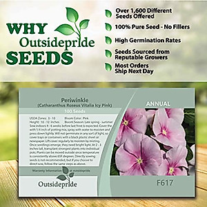 Outsidepride Vinca Periwinkle Vitalia ICY Pink Garden Flower, Ground Cover, & Container Plants - 100 Seeds