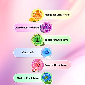 kastu Gifts Idea for Women