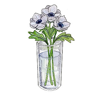 Watercolour Lessons: How to Paint and Unwind in 20 Tutorials (How to paint with watercolours for beginners)