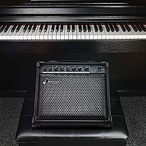 Donner DKA-20 Keyboard Amplifier 20 Watt Keyboard AMP with Aux in and Two Channels, Bass Guitar Amp, Piano Amplifier, Electronic Drum Speaker Support for Microphone Input