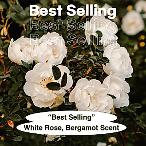 skybottle Hair & Body Mist, Lasting Fragrance with Bergamot, White Rose Scent, Travel Size Perfume and Body Spray, Hygiene Essentials for Women, Girls Valentine Gift, 3.4 Fl. Oz