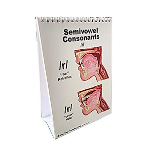 Speech Articulation Anatomy Flip Charts